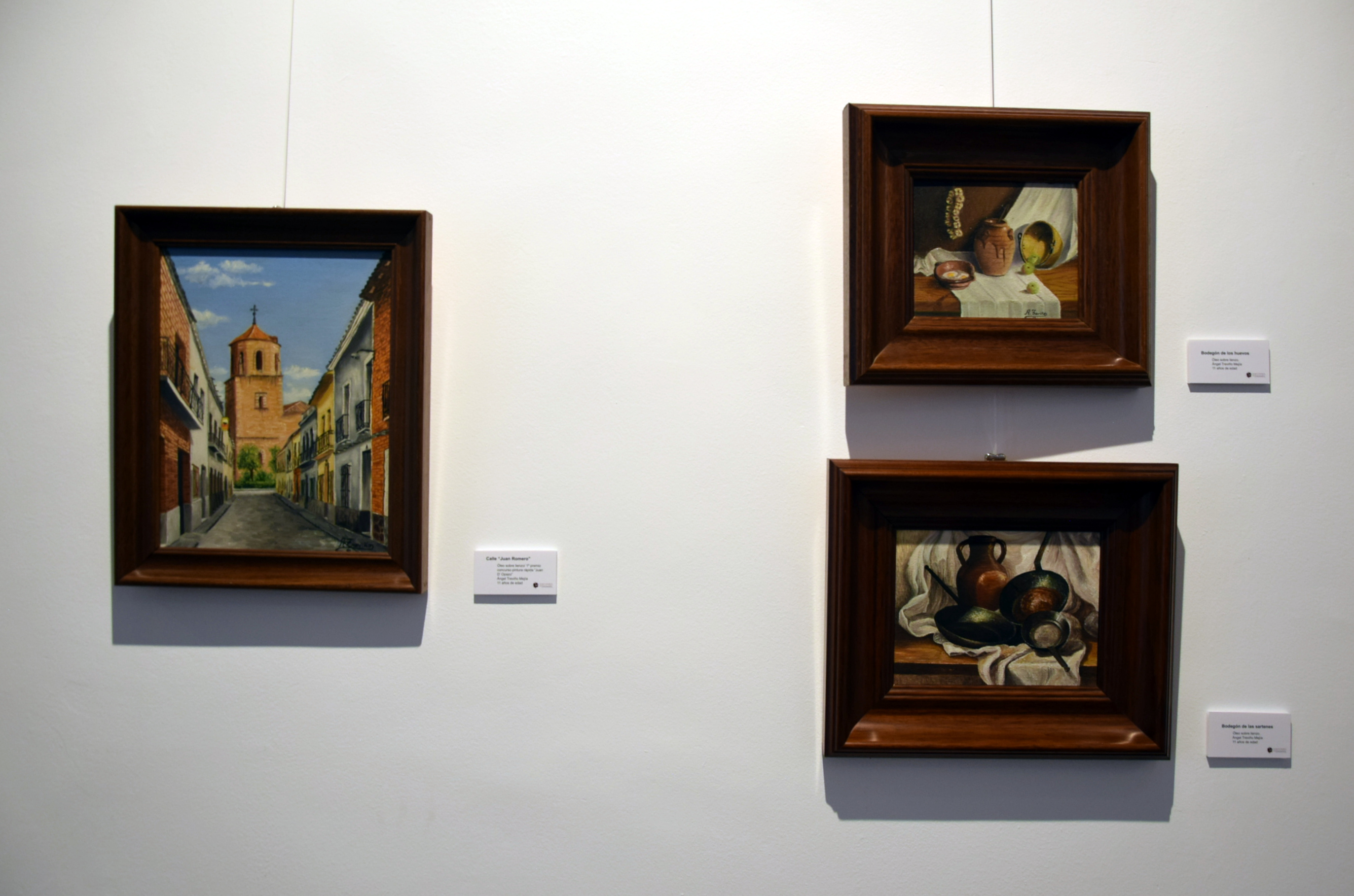 Los cuadros de Ángel Treviño despiertan en el Museo Comarcal ...