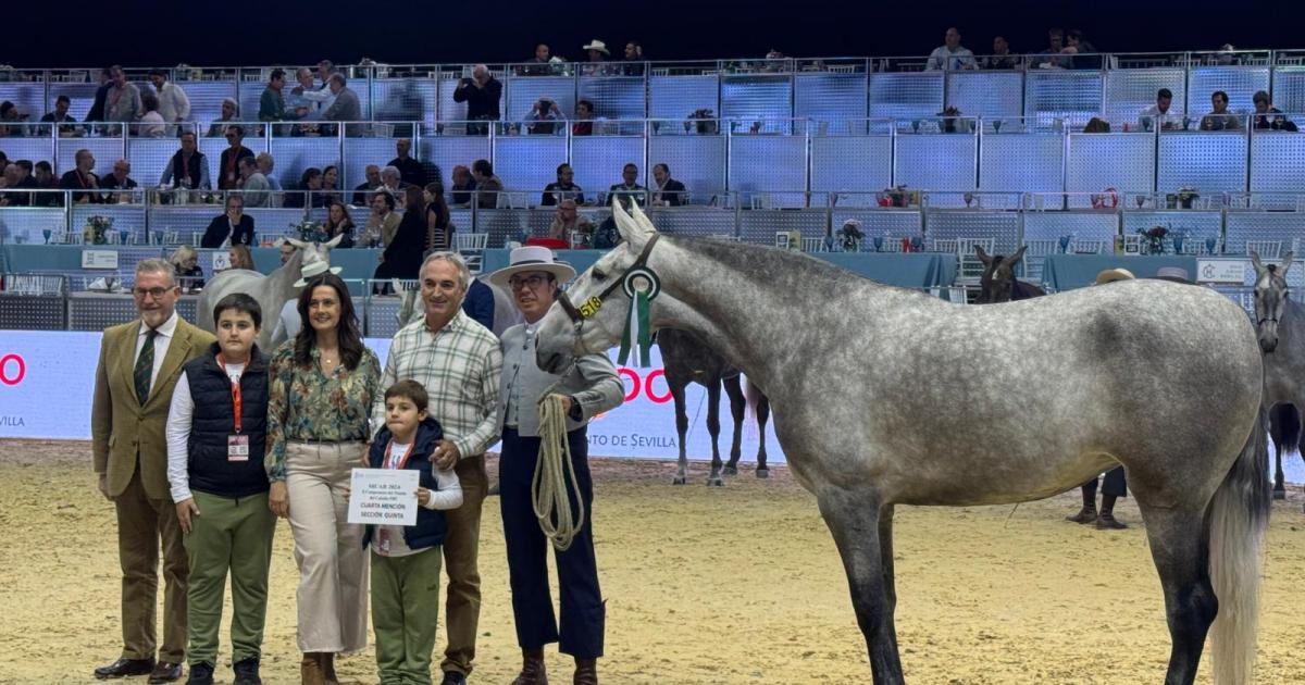 La potra Vega de Zumacar, entre las diez mejores del mundo de su ...