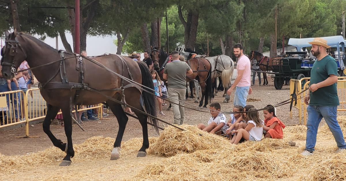 Daimiel celebra con tradición, música y migas el Día de la Trilla ...
